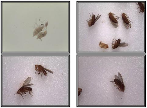 Programs - eClose Institute