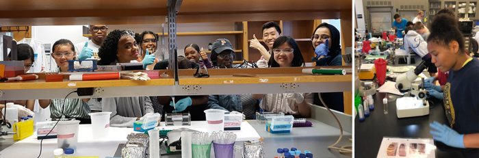 Programs - eClose Institute